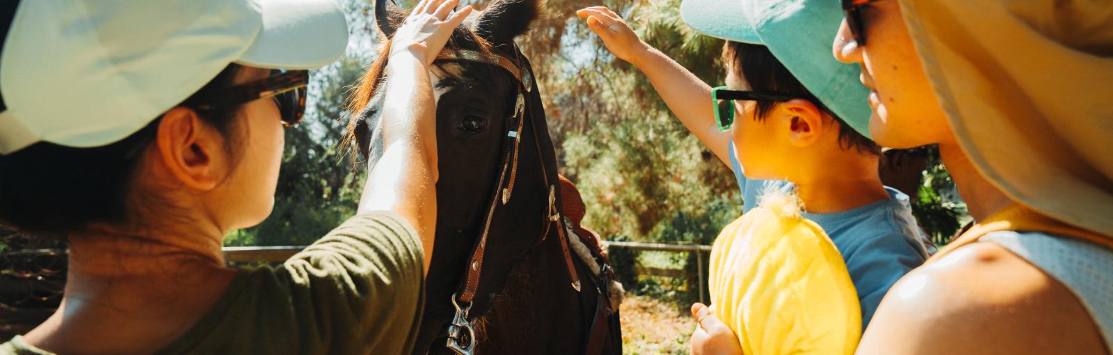 Become an Autry Member | Autry Museum of the American West