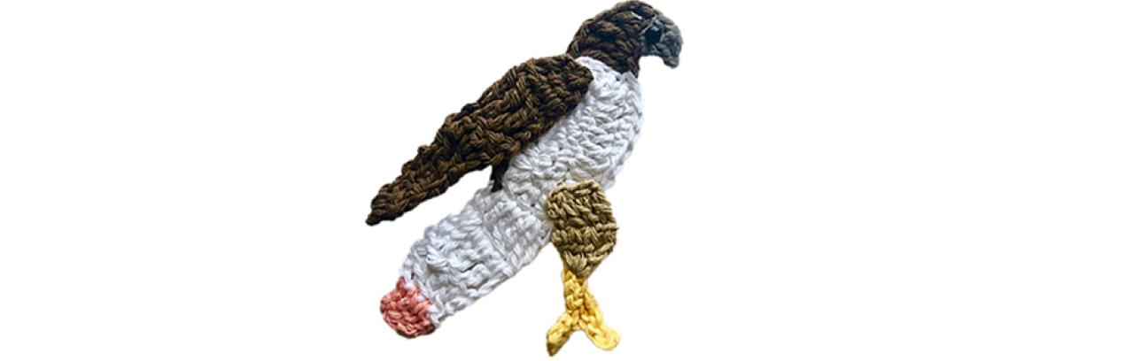 Griffith Park Yarnscape 6: How to Crochet a Red-tailed Hawk | Autry ...