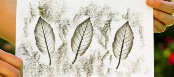 Native Plant Leaf Rubbing Activity | Autry Museum of the American West