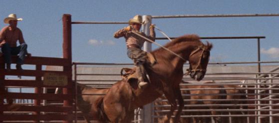 What is a Western? Interview Series: Ranching, Rodeo and Roy Rogers ...